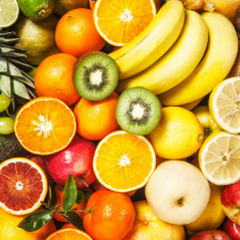 Haya Farm – Farming For a Better Future