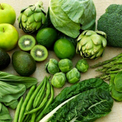 Haya Farm – Farming For a Better Future